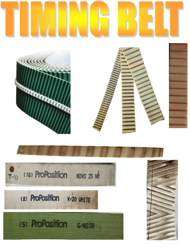 Buy PROFIL 14M-MSS 1400 - 14M X 100 TEETH X BELT WIDTH 40 MM ( HTD ...
